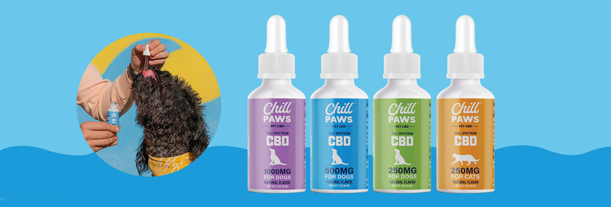 CBD for Pets | Blog - Chill Paws