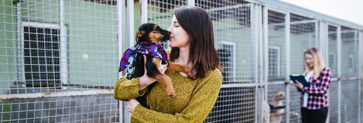How to Find the Right Pet For You