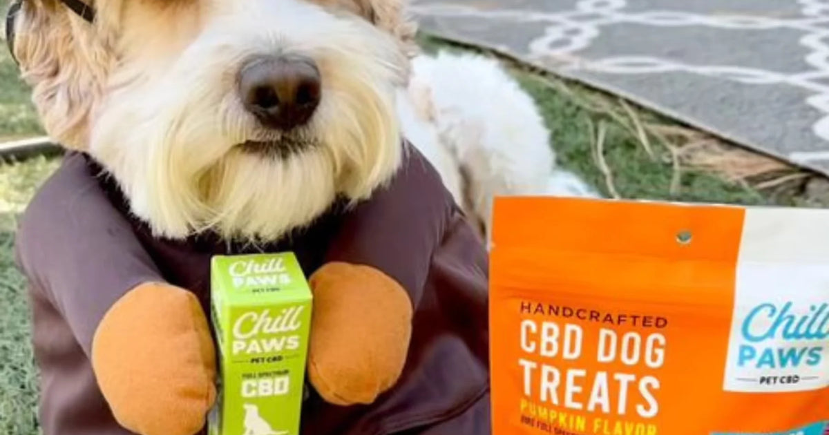 CBD Pet Food | FAQ - Chill Paws