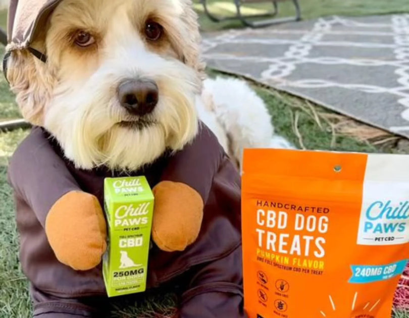 CBD Pet Food | FAQ - Chill Paws