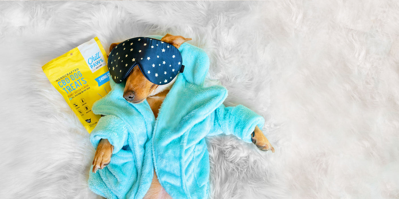 CBD For Dogs | Chill Paws