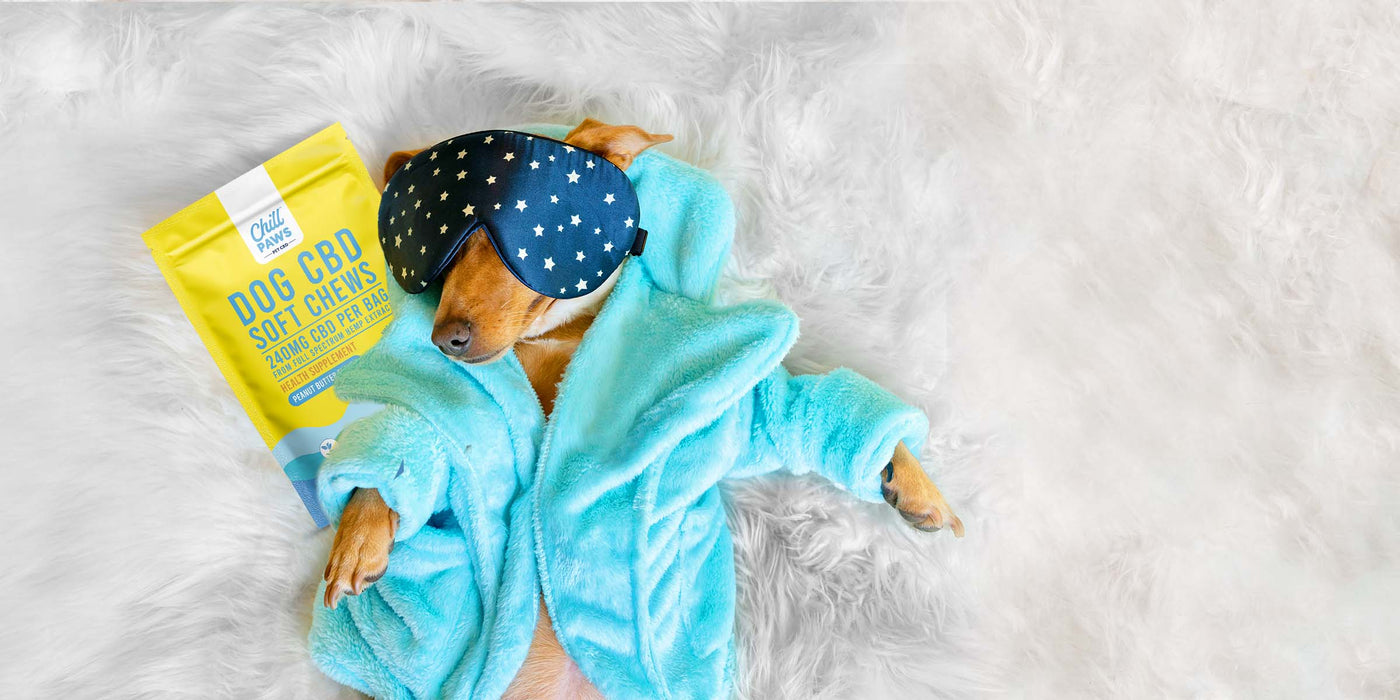 CBD For Dogs | Chill Paws