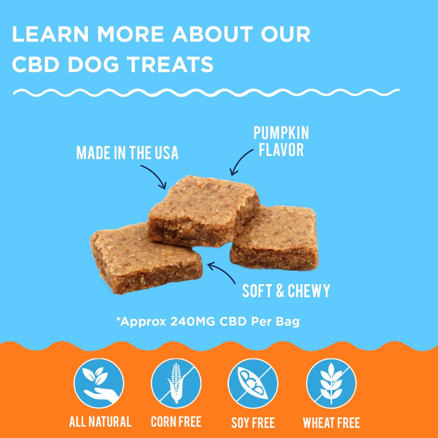 CBD For Dogs | Chill Paws