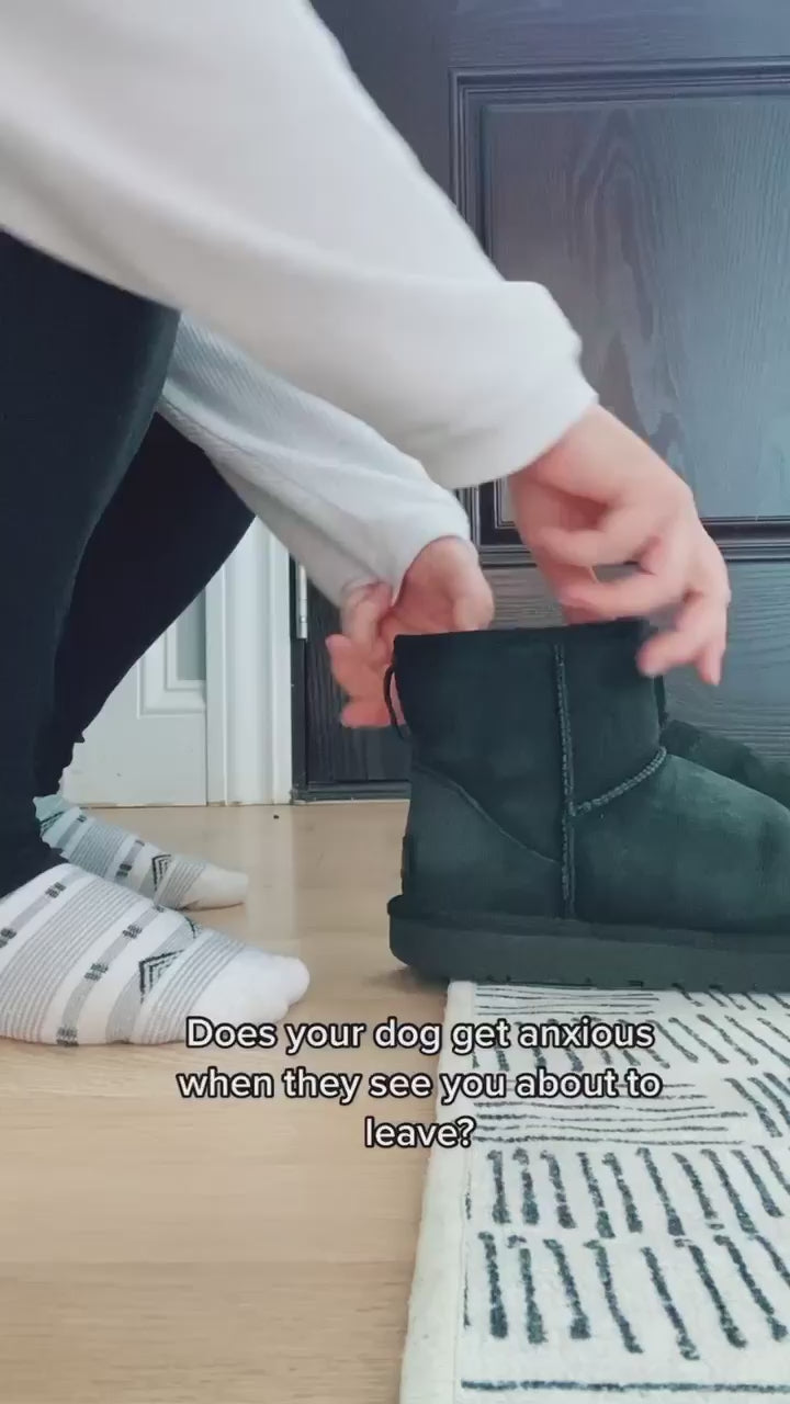 CBD For Dogs | Chill Paws